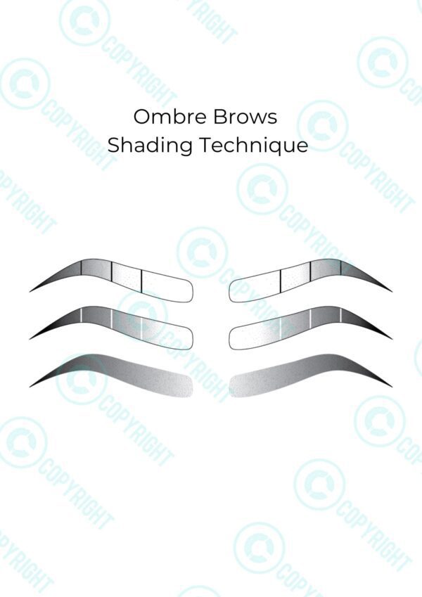 Ombre Brows |Shading Technique |Digital Download | Nita McEvoy